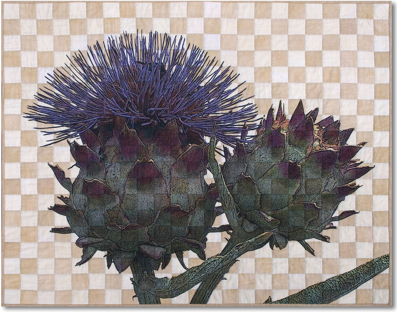 Gallery – Susan Bianchi